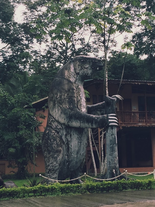 Central America Travel: Sloth Sanctuary in Costa Rica – Engaged Abroad